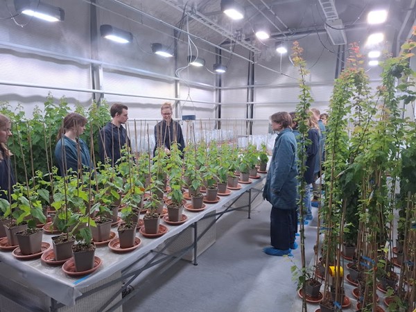 Umeå Plant Science Center (UPSC) - Skogsprogram Västerbotten